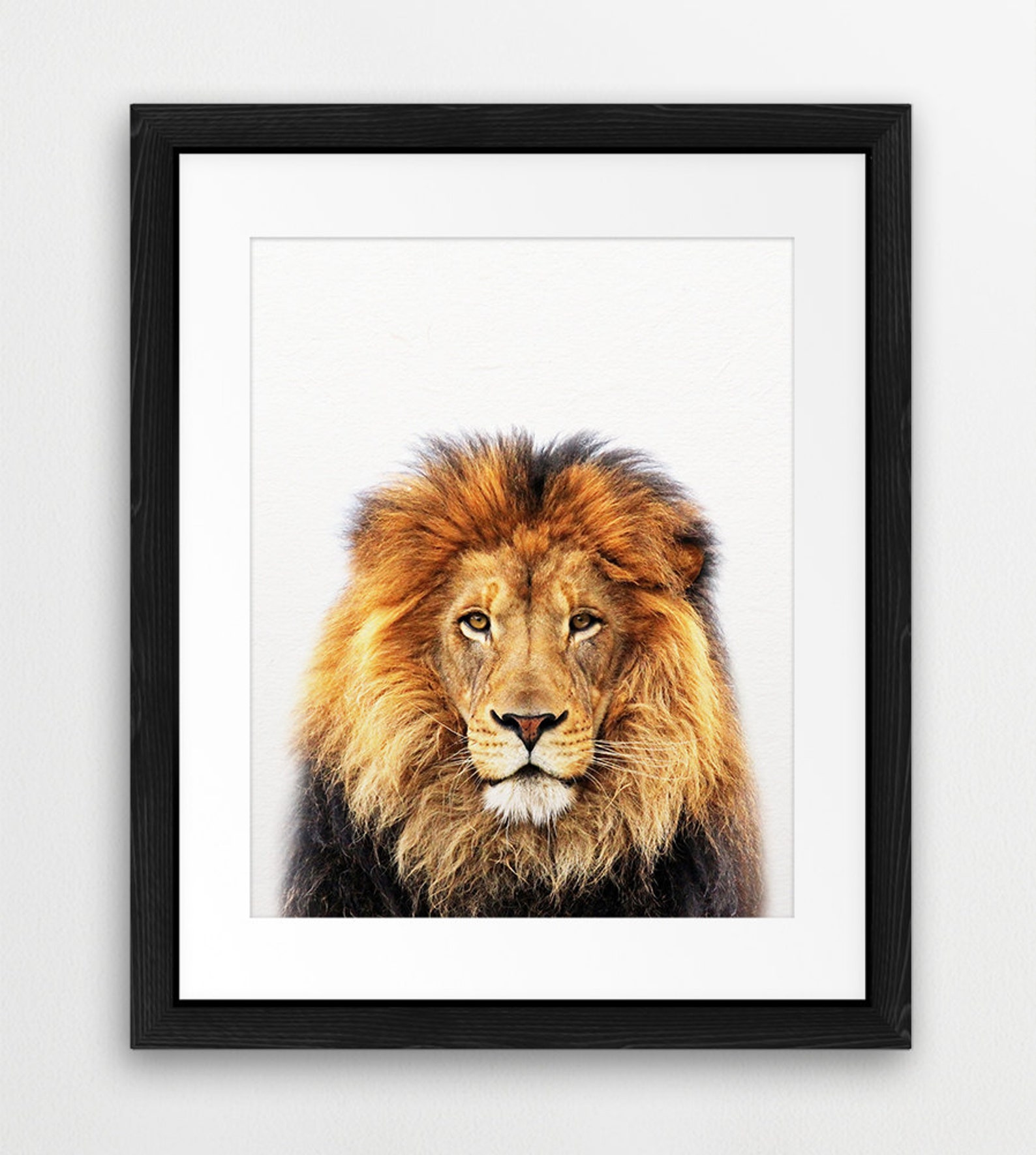 Lion Print Safari Animals Lion Art Safari Decor Animal - Etsy