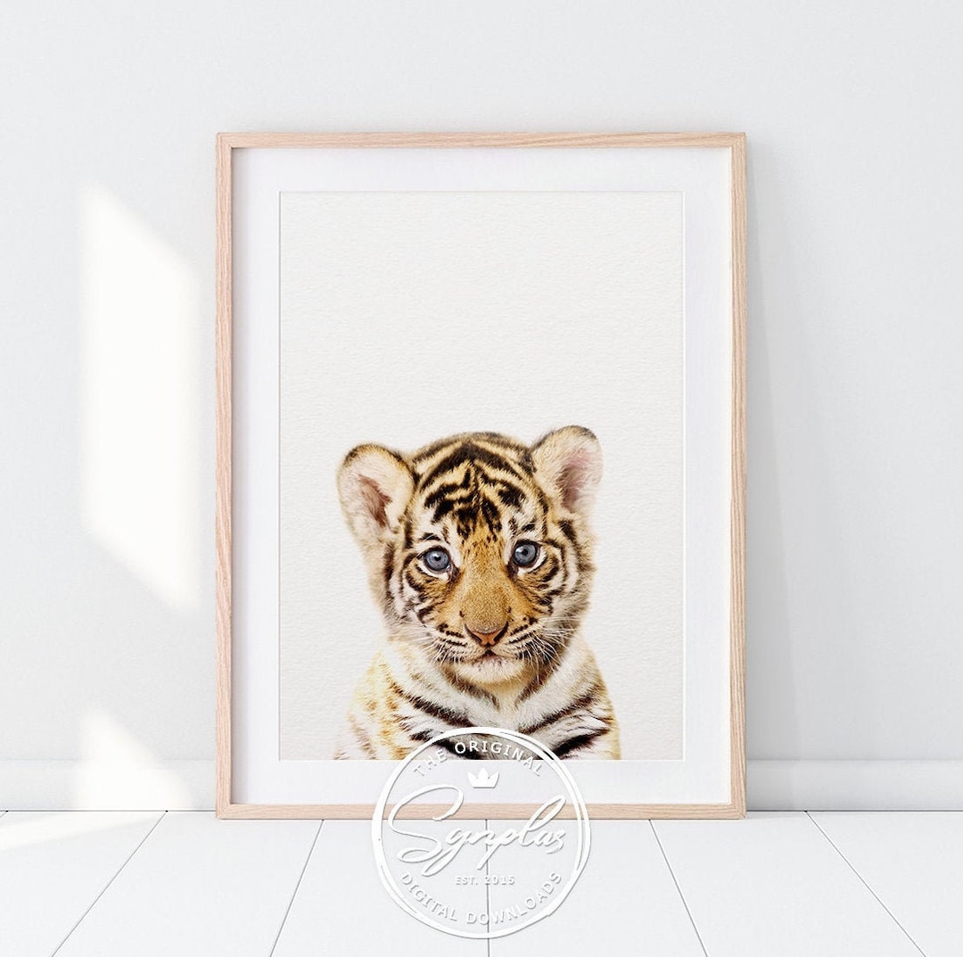 Baby Tiger Print, Tiger Cub, Forest Jungle Animal Prints, Nursery ...