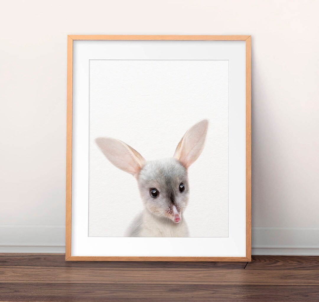 Baby Bilby Print, Nursery Decor, Australian Animals Art, Bilby Art ...