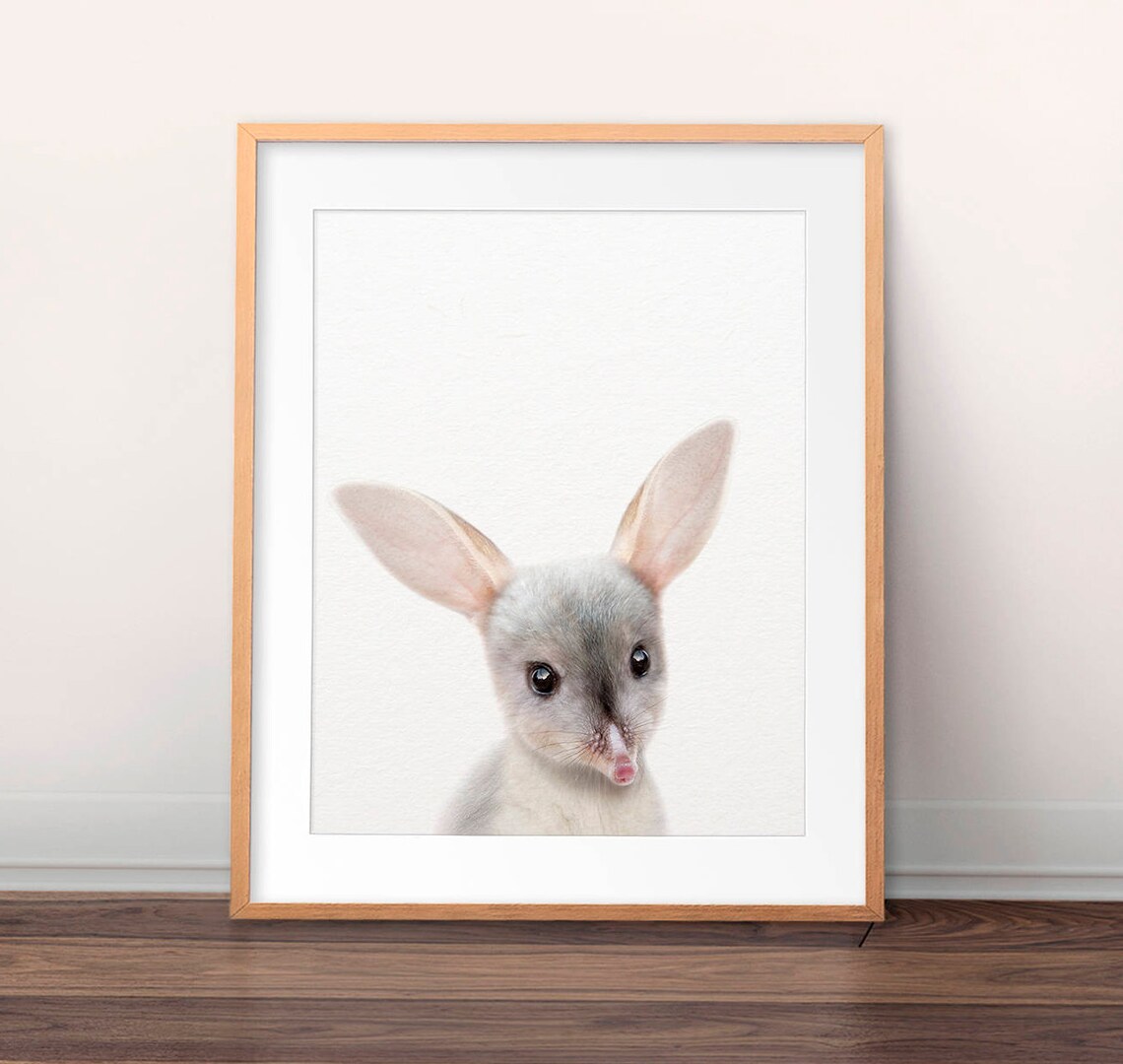 Baby Bilby Print Nursery Decor Australian Animals Art Bilby - Etsy