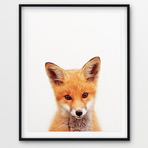 Fox Print, Fox Cub Art, Nursery Wall Art, Pup Fox Photo, Nursery Decor ...