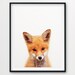 Fox Print, Fox Cub Art, Nursery Wall Art, Pup Fox Photo, Nursery Decor ...