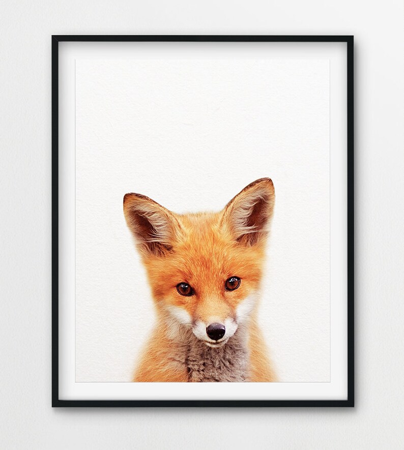 Fox Print Fox Cub Art Nursery Wall Art Pup Fox Photo - Etsy