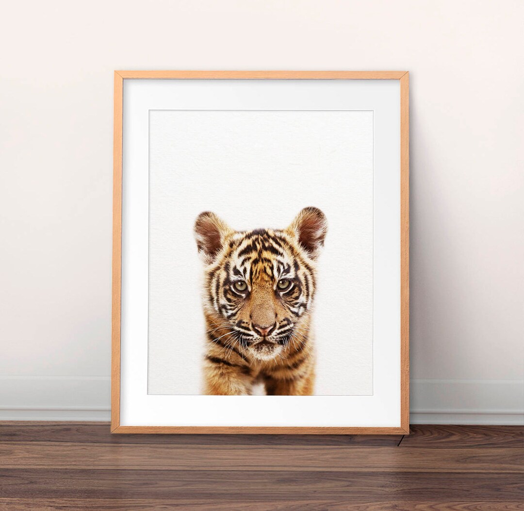 Tiger Print, Baby Animal Prints, Nursery Art, Jungle Animal Print ...