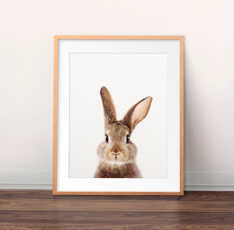 Rabbit Print, Woodland Nursery Decor, Rabbit Art, Bunny Rabbit, Nursery ...