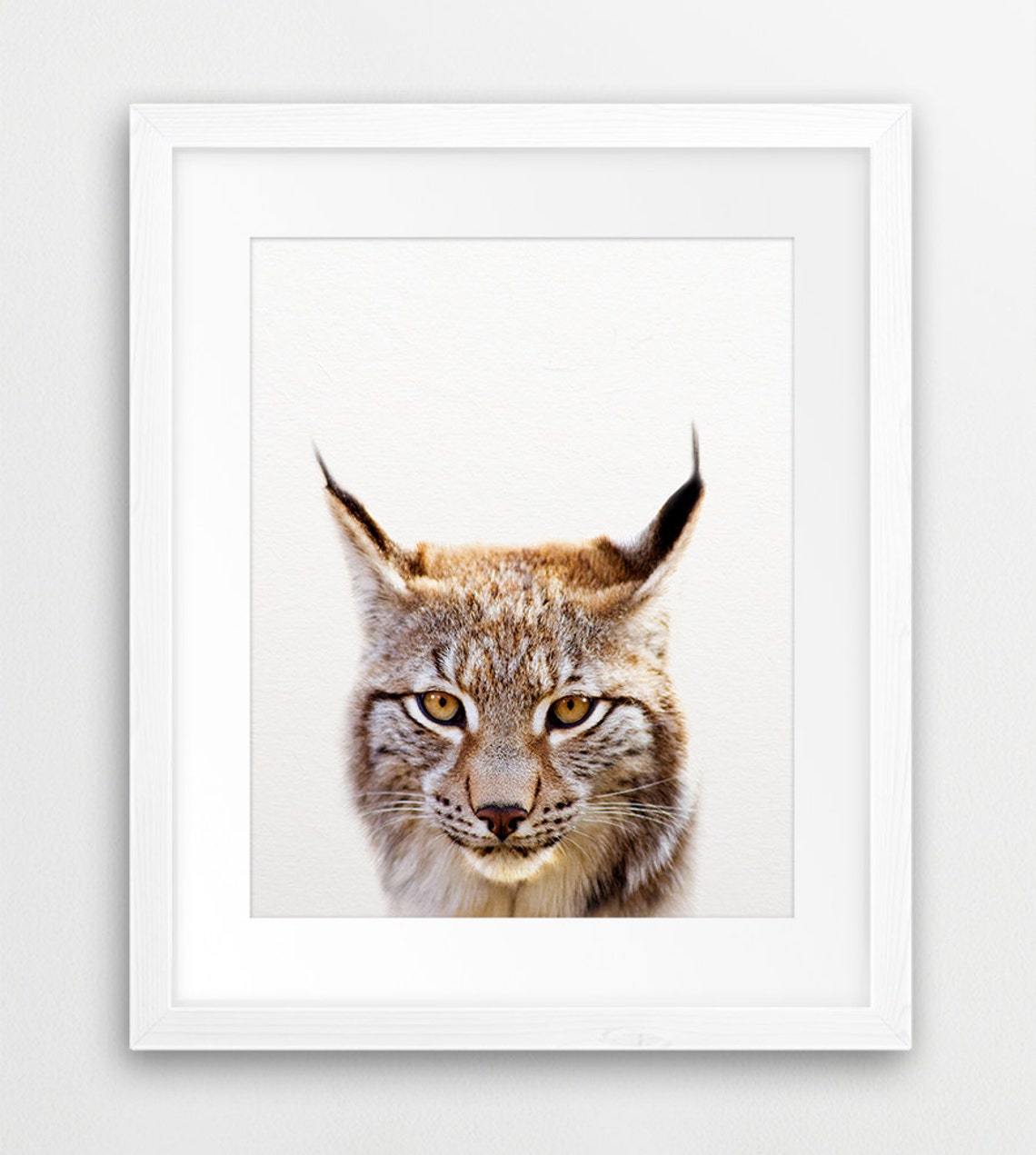 Bobcat Lynx Print Lynx Photo Bobcat Art Nursery Wall Decor | Etsy