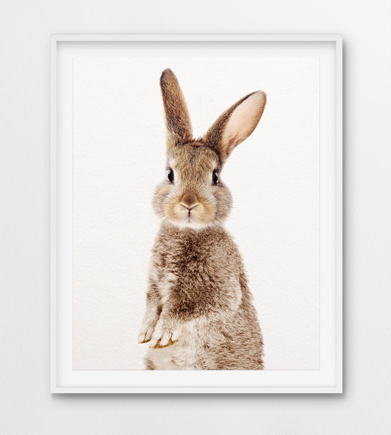 Woodland Nursery Decor, Rabbit Print, Bunny Print, Baby Animals ...