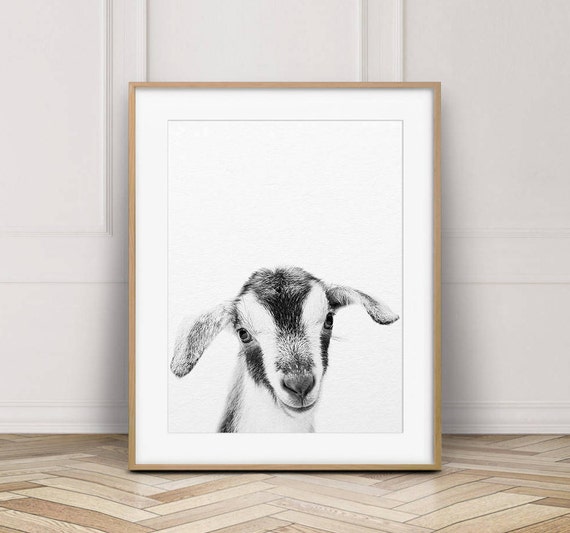 Goat Print Nursery Wall Art Farm Animals Print Little Goat - Etsy