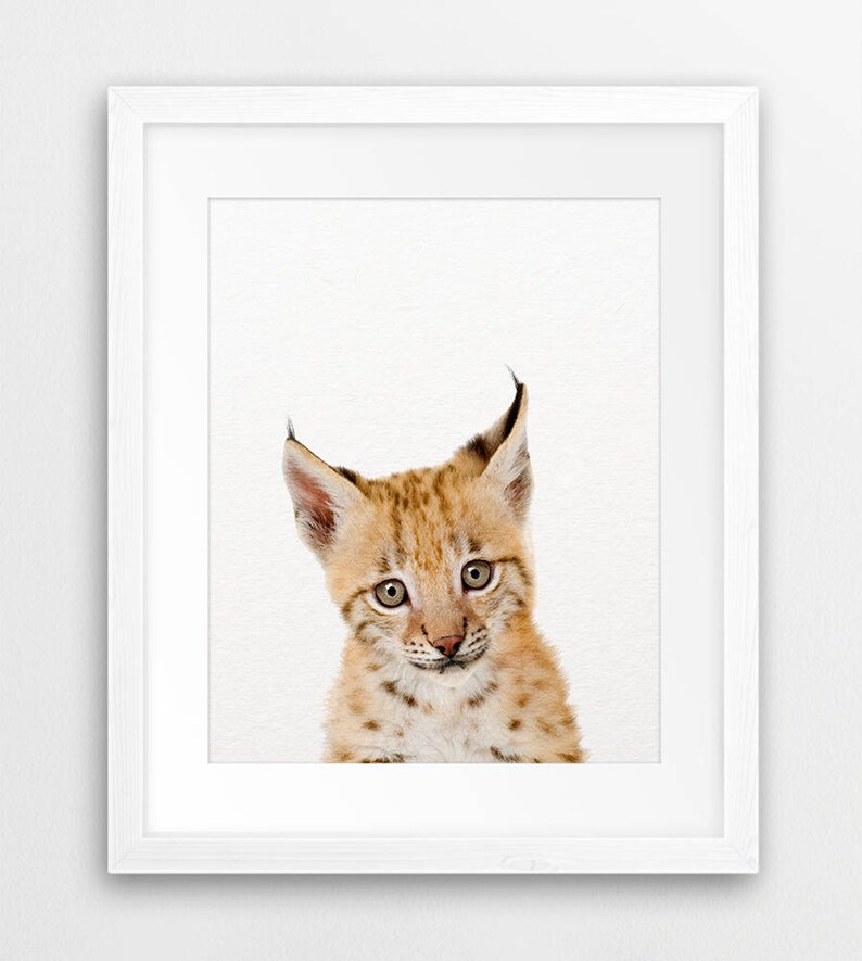 Lynx Print Woodland Animal Prints Baby Lynx Wall Art Lynx - Etsy
