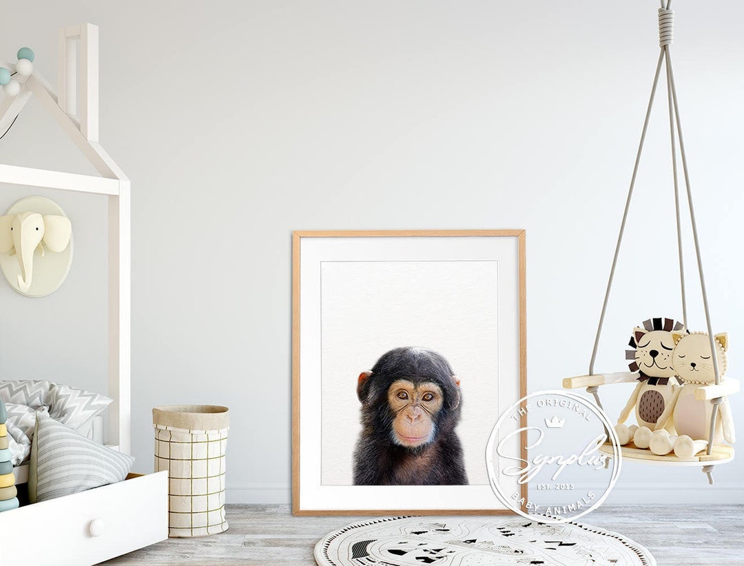 Baby Monkey Print, Nursery Decor, African Safari Animal, Baby ...