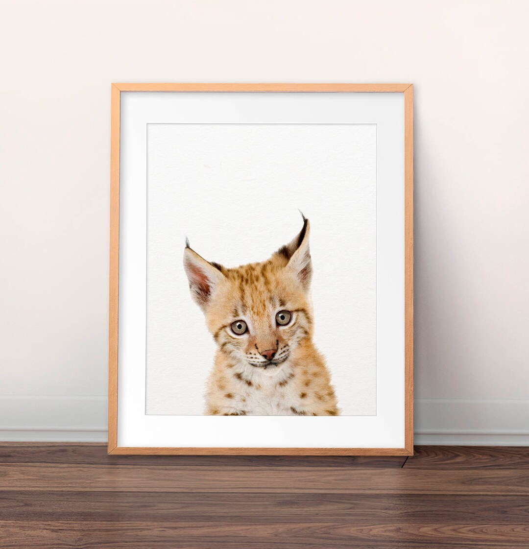 Lynx Print, Woodland Animal Prints, Baby Lynx Wall Art, Lynx Cub ...