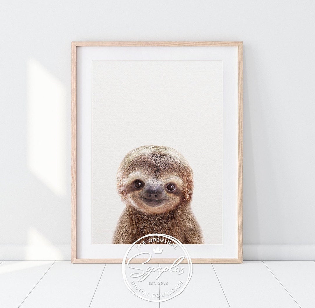 Nursery Wall Art, Baby Sloth Print, Nursery Decor, Sloth Art, Cute Baby ...
