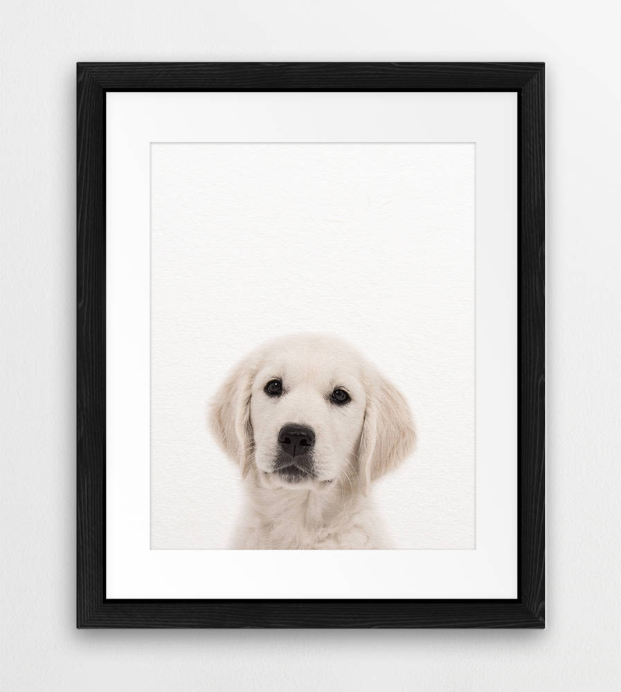 Dog Print, Baby Animal Art, Puppy Print, Nursery Art, Golden Retriever ...