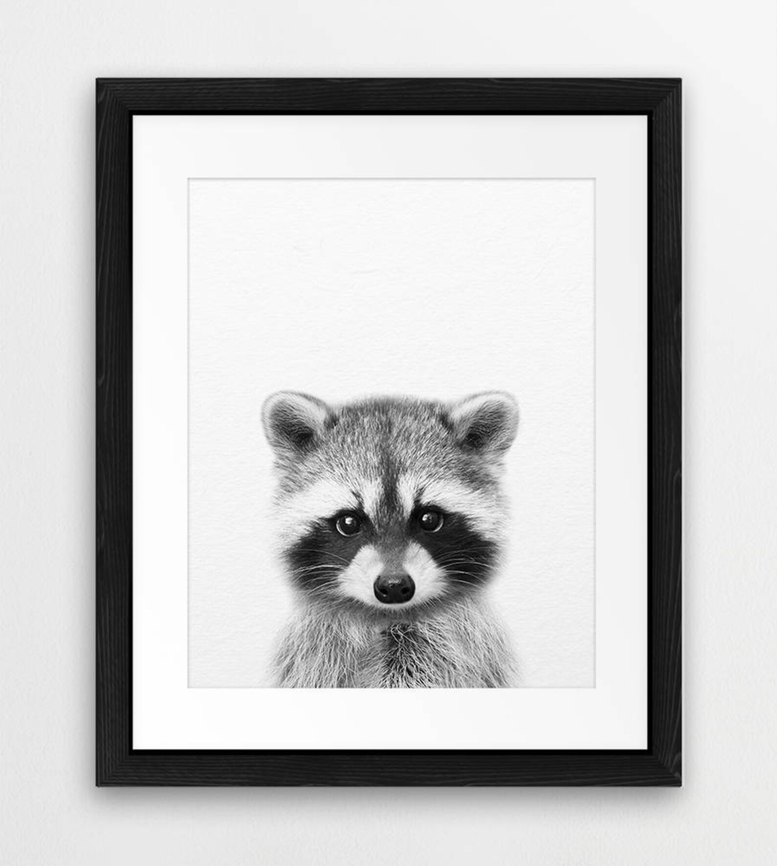 Raccoon Print Woodland Animals Animal Art Baby Animals | Etsy
