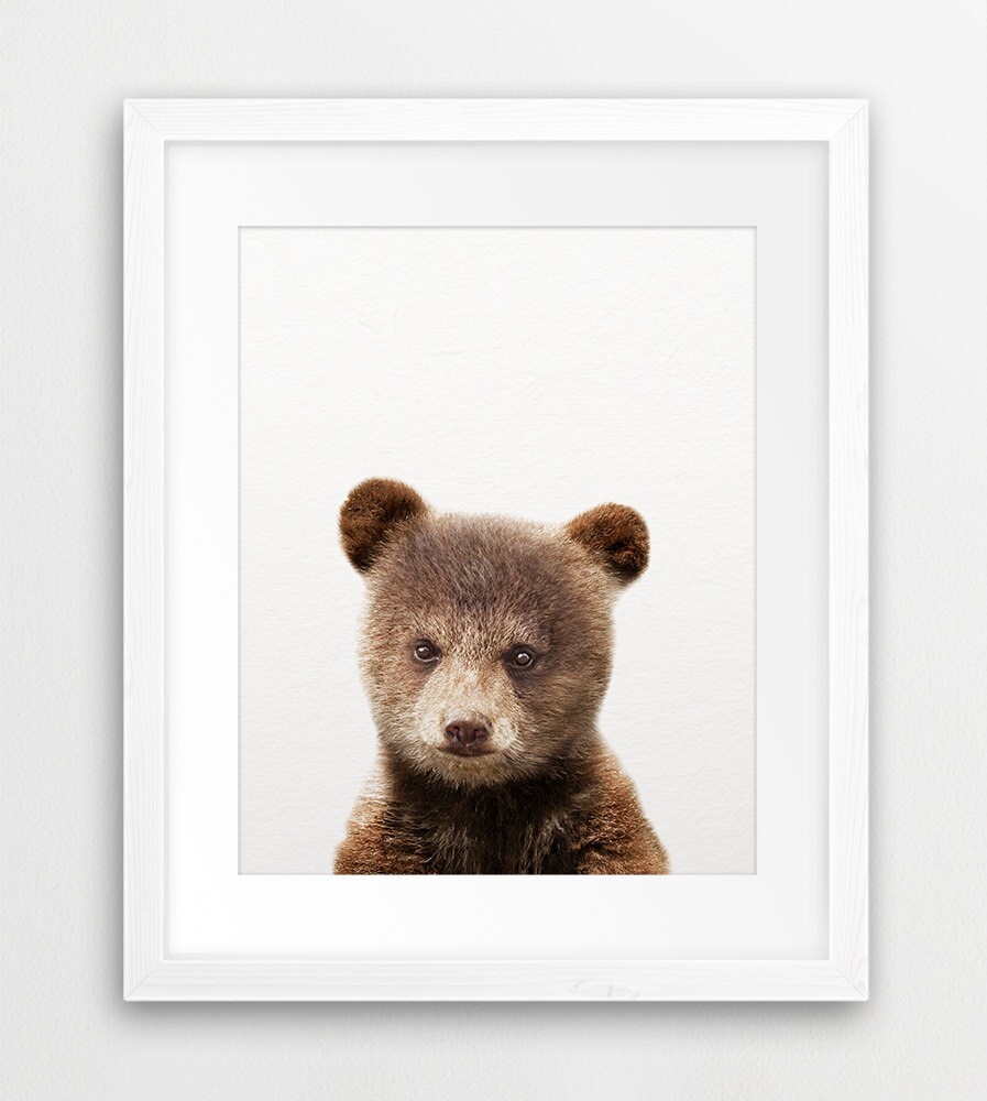 Bear Cub Print, Nursery Decor, Baby Animal Prints, Bear Photo, Cute ...