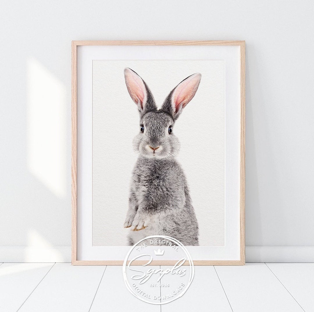 Nursery Decor, Rabbit Print, Bunny Print, Baby Animals, Nursery Art ...