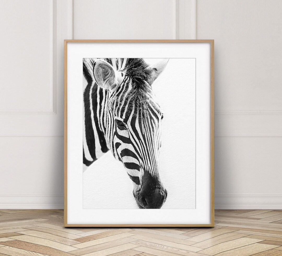 Zebra Print, Zebra Photo Black & White, Safari Animal Prints, Modern ...