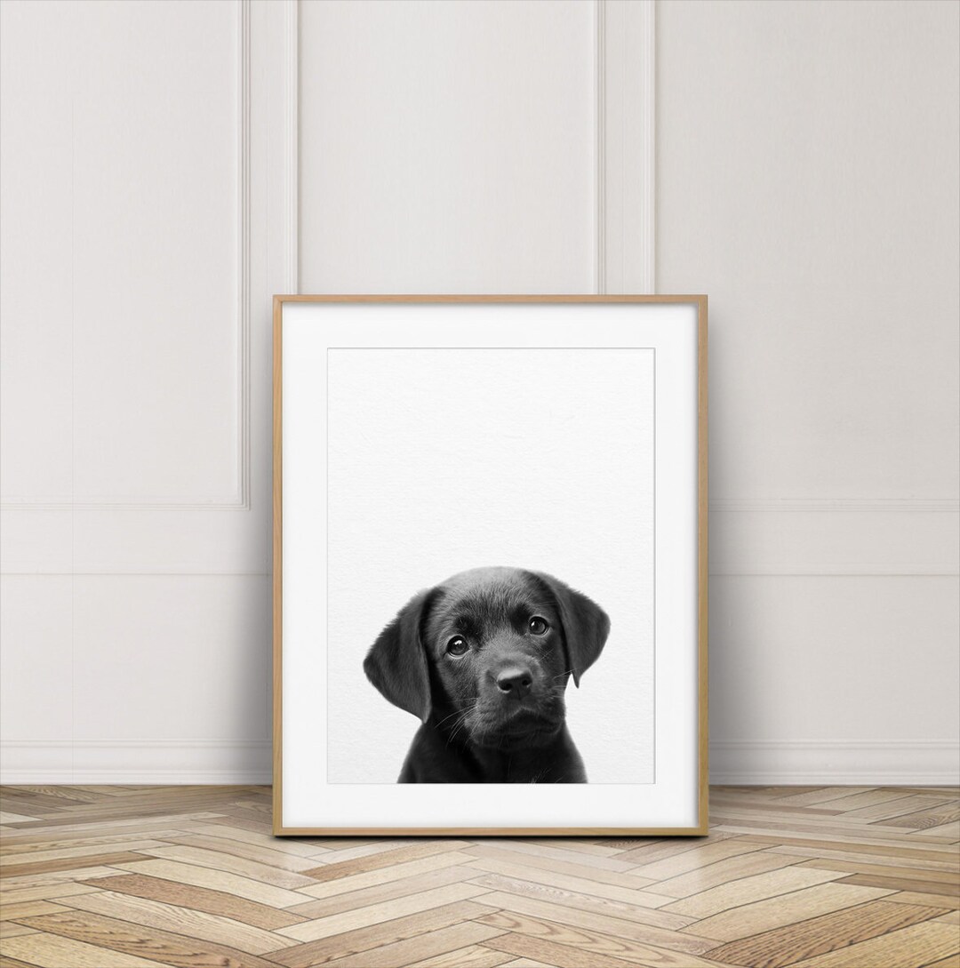 Puppy Lab Print, Baby Animals, Dog Print, Nursery Decor, Black Labrador ...