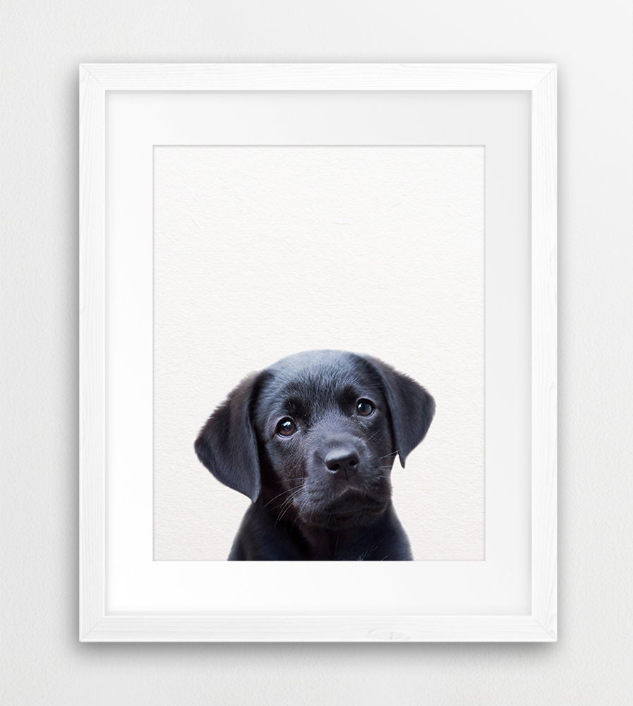 Dog Print, Puppy Lab Print, Baby Animals, Nursery Decor, Black Labrador ...