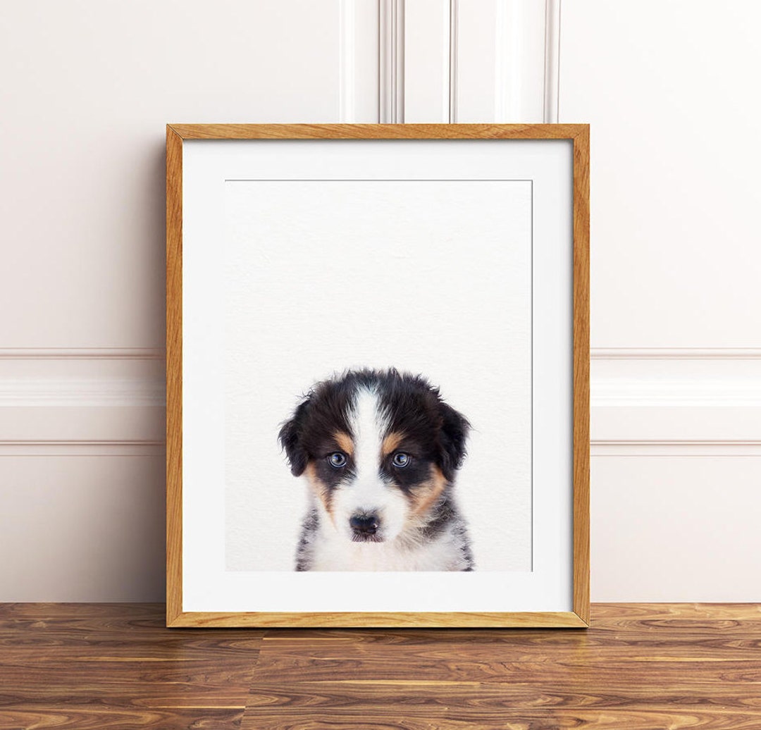 Dog Print, Baby Animals Art, Australian Shepherd Puppy Print, Nursery ...