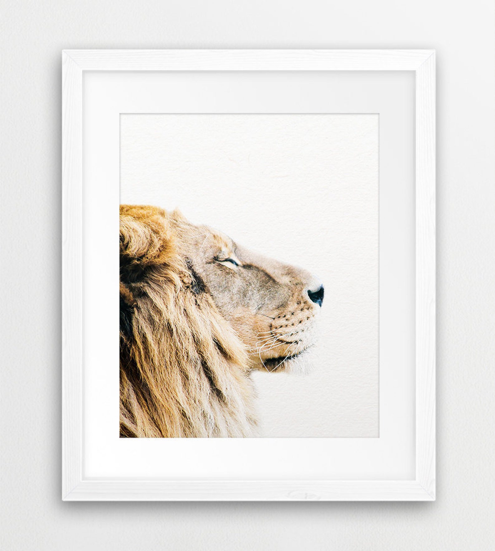 Lion Print, Safari Decor, African Animal, Lion Wall Art, Lion Photo ...