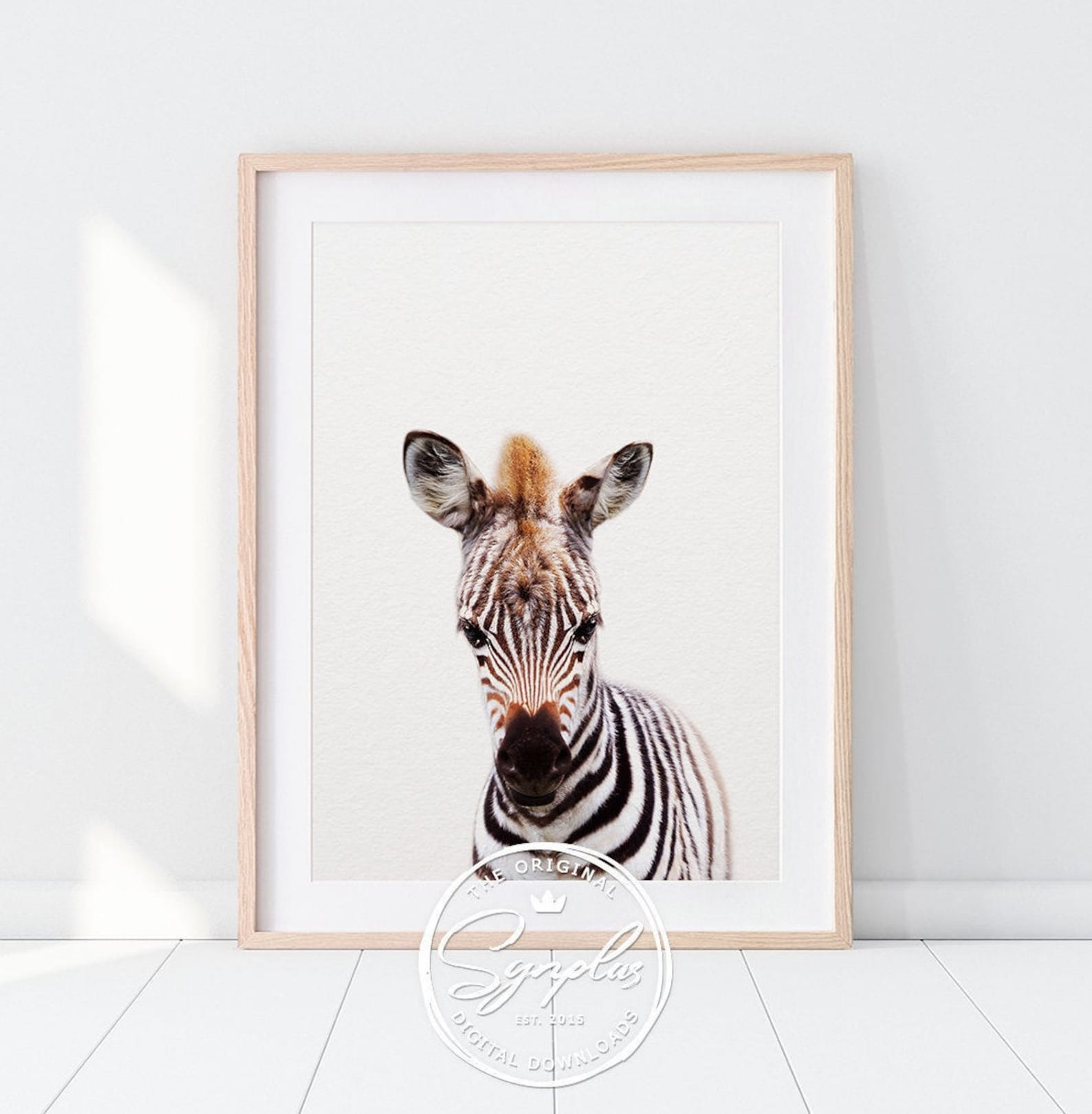 Zebra Print, Baby Zebra Art, Safari Animals Print, Baby Animal Prints ...