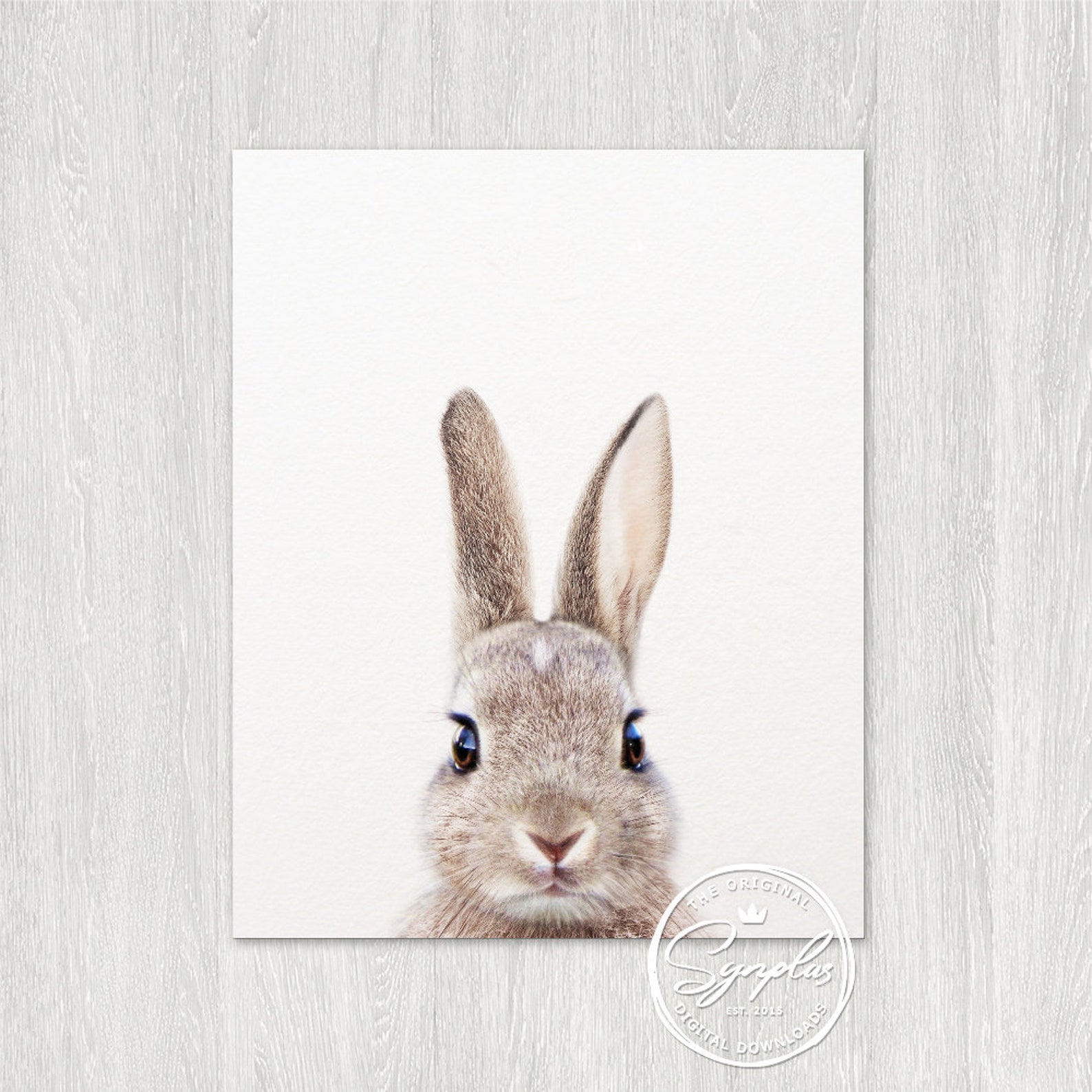 Nursery Wall Art Rabbit Print Woodland Nursery Decor Bunny - Etsy