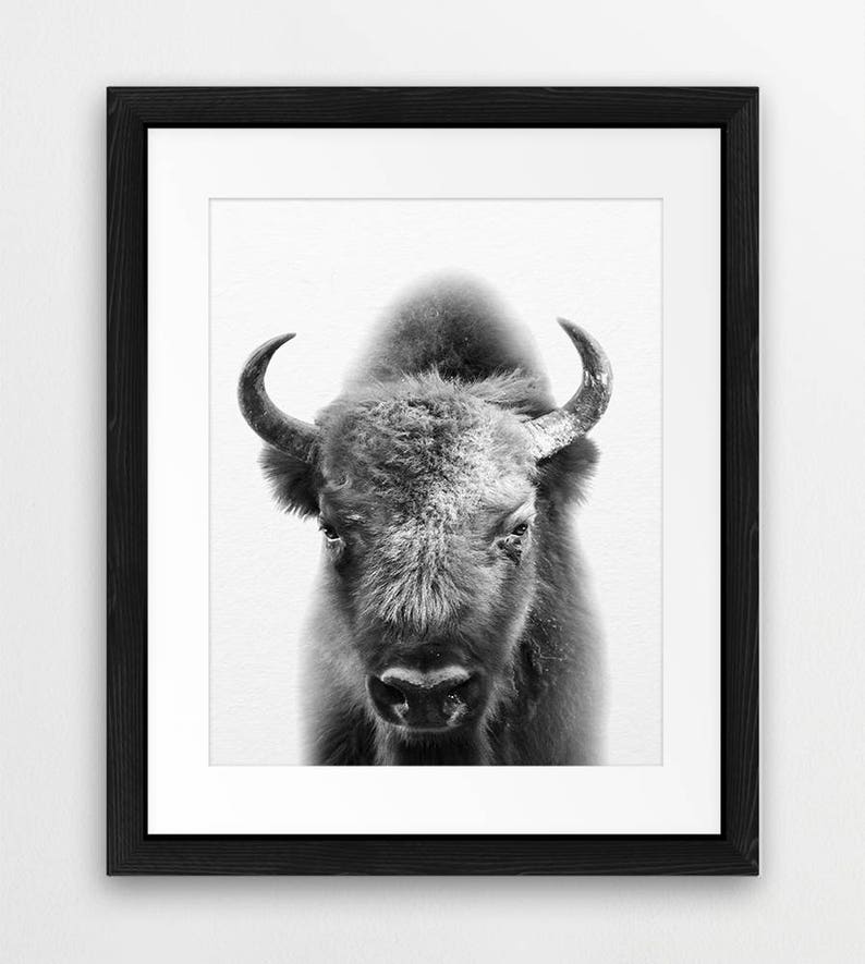 Buffalo Print Bison Wall Art American Bison Print Black | Etsy