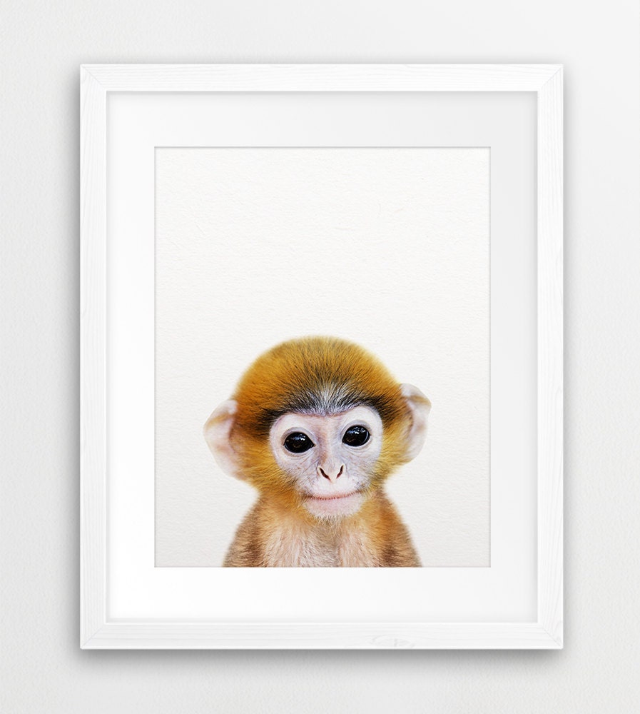 Baby Monkey Print Jungle Animal Color Photo Nursery Animal - Etsy