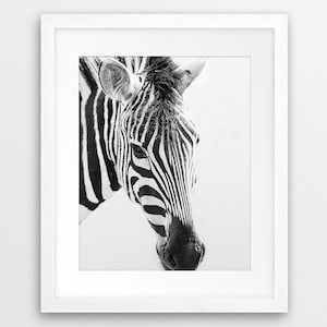 Zebra Print, Zebra Photo Black & White, Safari Animal Prints, Modern ...