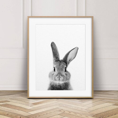 Printable Wall Art Black and White Print Jellyfish Art - Etsy