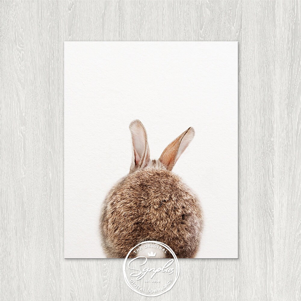 Bunny Butt, Rabbit Print, Set of 2, Baby Animal Prints, Bunny Tail ...