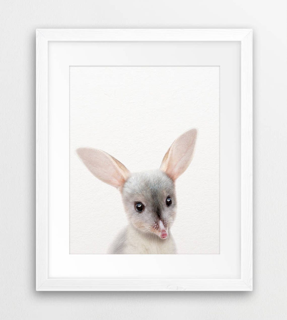 Baby Bilby Print, Nursery Decor, Australian Animals Art, Bilby Art ...