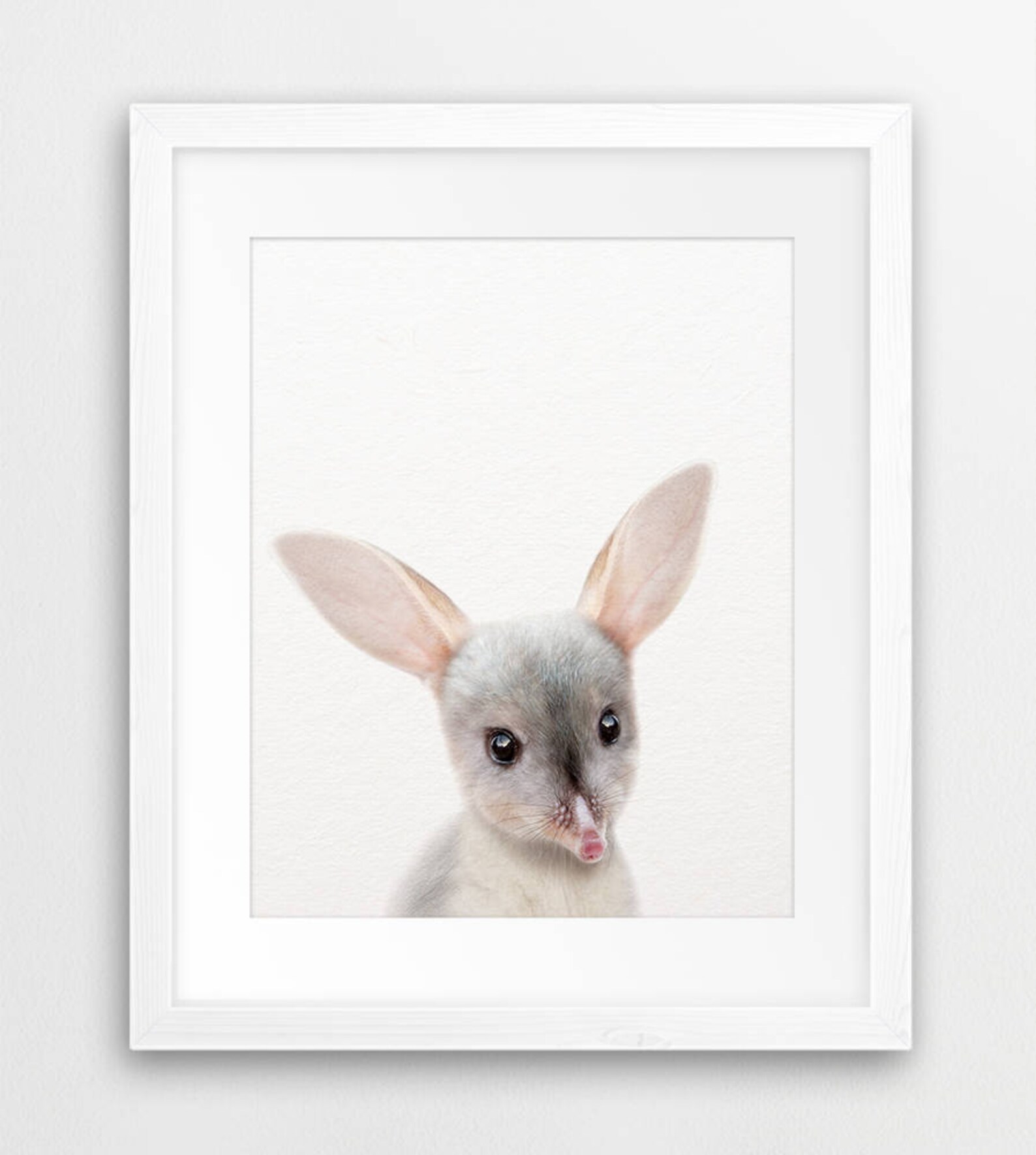Baby Bilby Print Nursery Decor Australian Animals Art Bilby - Etsy