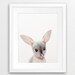 Baby Bilby Print, Nursery Decor, Australian Animals Art, Bilby Art ...