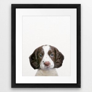 Dog Print, Baby Animal Prints, Puppy Print, Nursery Art, Baby Spaniel ...