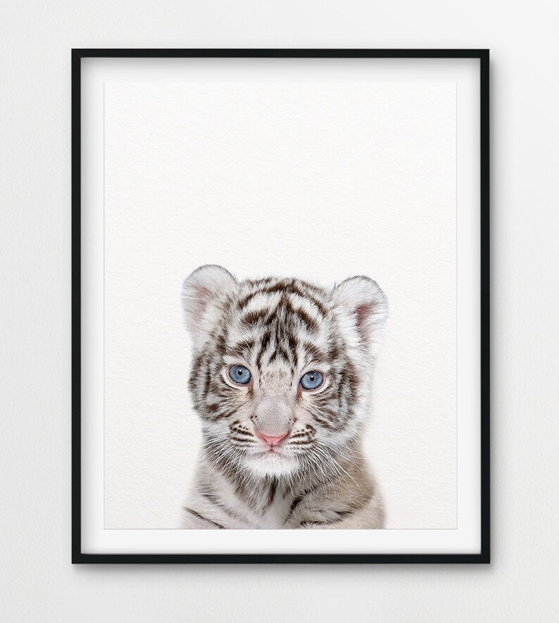 Tiger Print, White Tiger Cub Art, Baby Animal Prints, Woodland Nursery ...