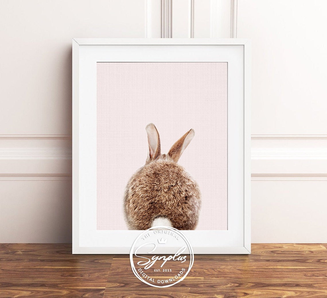 Bunny Rabbit Tail Print Bunny Butt Pink Nursery Wall Art | Etsy