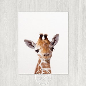 Baby Giraffe Print, Safari Nursery Art, Baby Animal Print, Safari ...