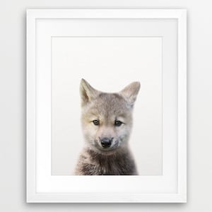 Wolf Print, Wolf Cub Wall Art, Pup Wolf Photo, Nursery Decor, Cute Baby ...