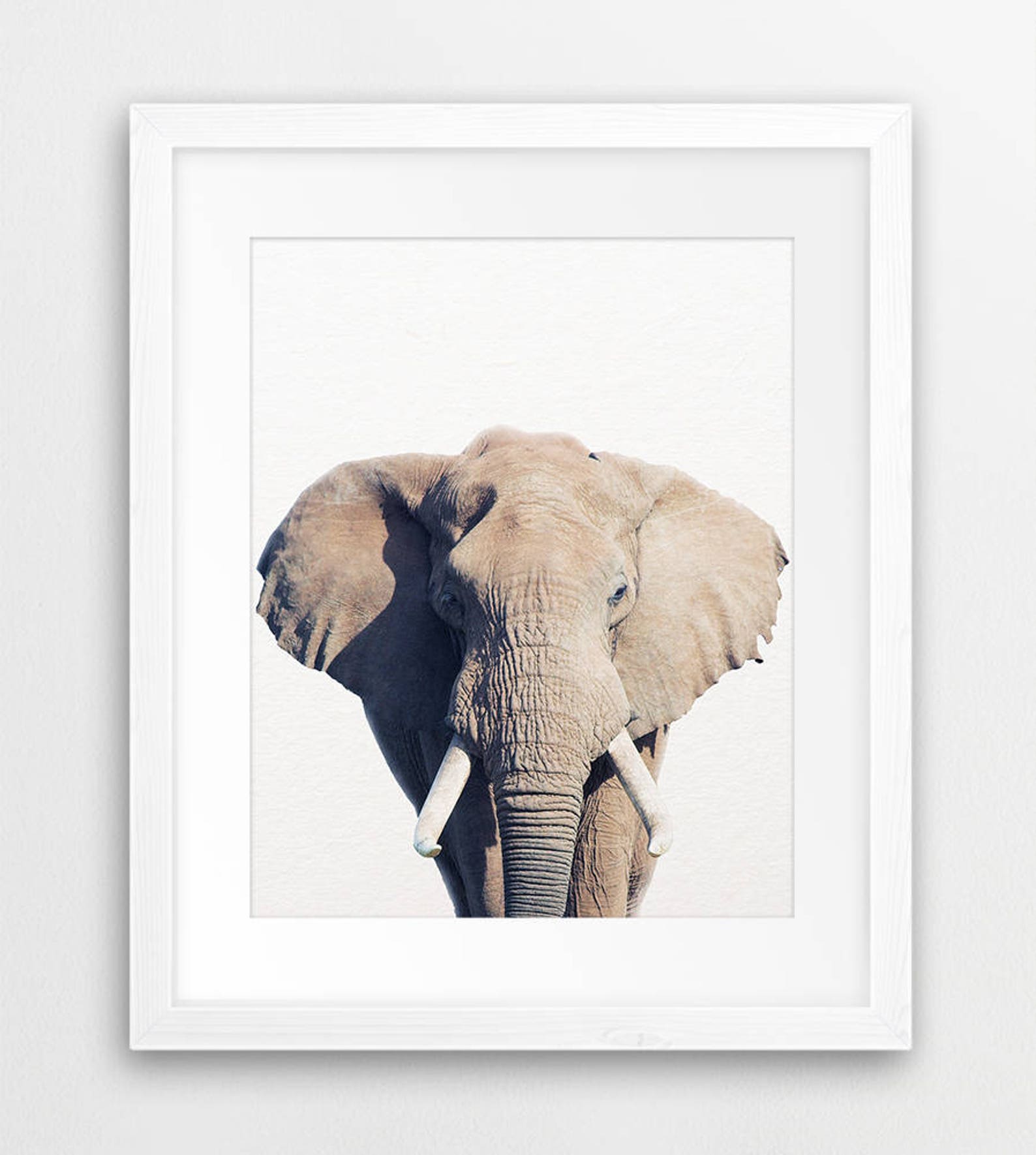 Elephant Print, African Safari Wall Art, Elephant Photo, Nursery Art ...