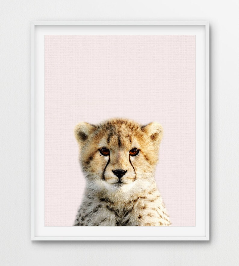 Cheetah Print, Nursery Decor, Baby Animals, Safari Animal Prints, Baby ...