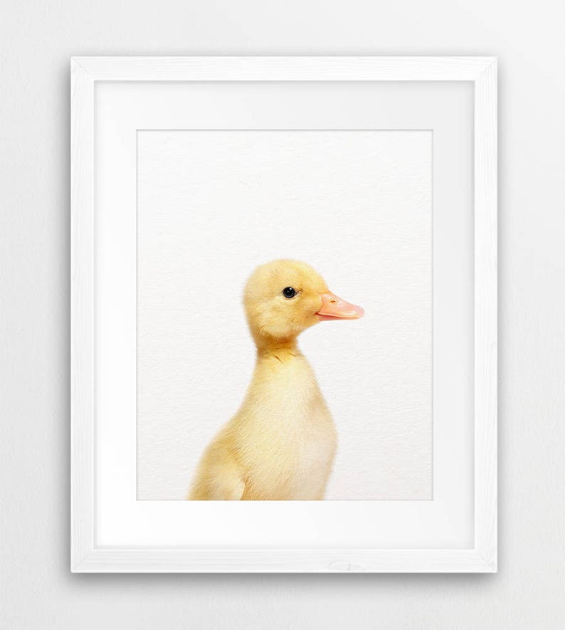 Duckling Print, Nursery Art, Baby Animal Prints, Farm Animals, Duckling ...