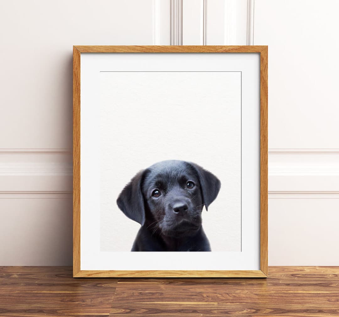 Dog Print, Puppy Lab Print, Baby Animals, Nursery Decor, Black Labrador ...