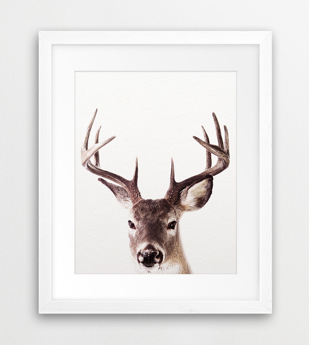 Deer Print, Deer Wall Art, Antlers Print, Woodlands Animal, Modern Wall ...
