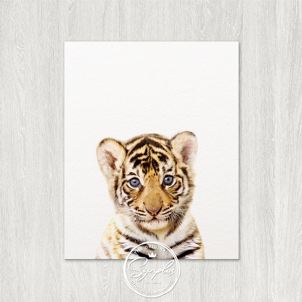 Baby Tiger Print Tiger Cub Forest Jungle Animal Prints | Etsy Canada