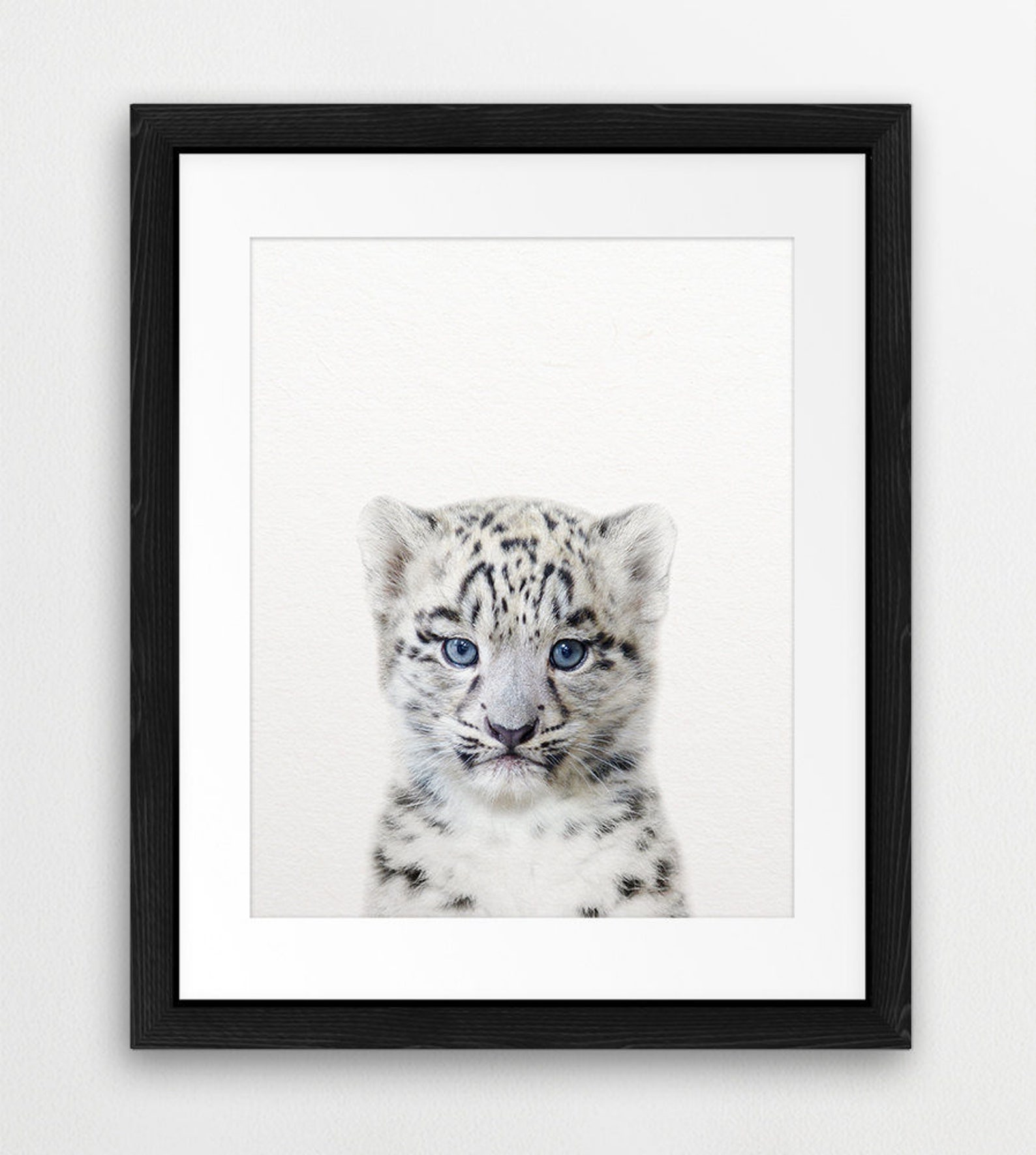Snow Leopard Print Leopard Cub Wall Art Baby Animal Prints - Etsy
