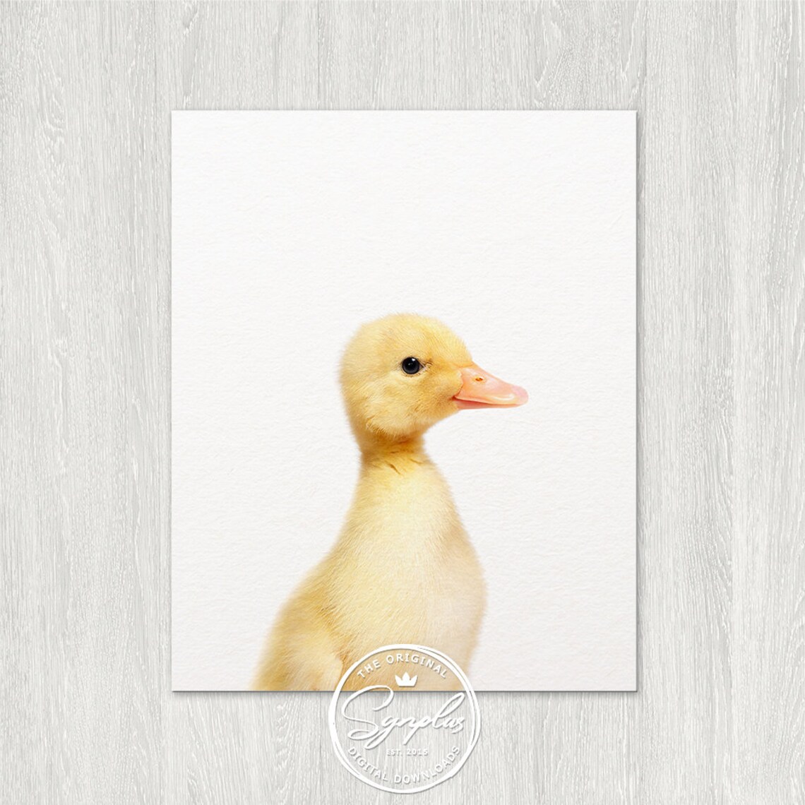 Duckling Print, Nursery Art, Baby Animal Prints, Farm Animals, Duckling ...