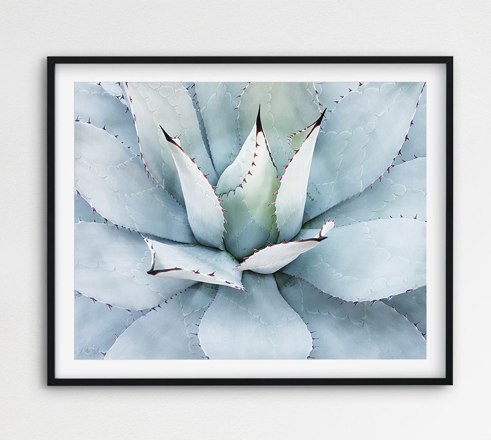 Succulent Print Set of 3 Succulent Prints Agave Succulent - Etsy