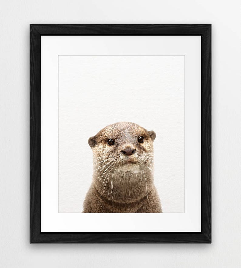 Otter Print, Sea Otter Art Print, Sea Animals Wall Art, Animal Prints ...